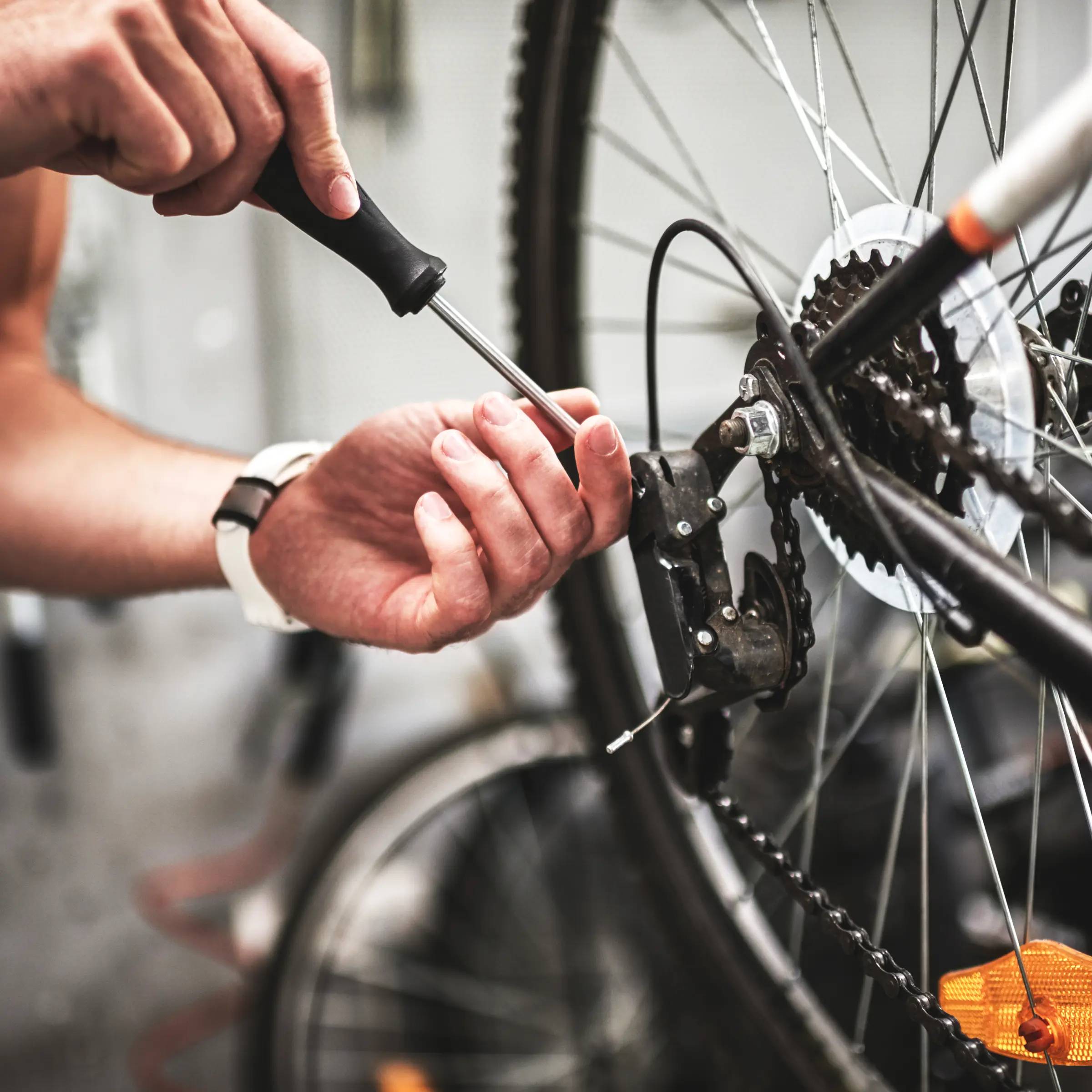 Cycle Insurance | ALA